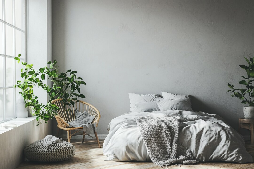 Minimal Grey Wall Paint Design for Bedrooms and Living Rooms